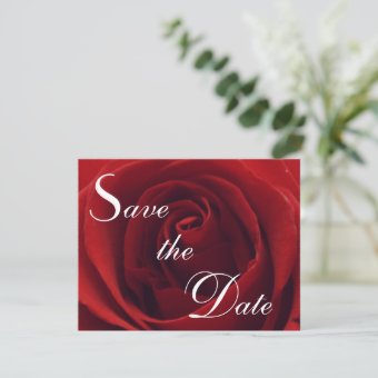 Classic Red Rose Save the Date Wedding Invitation | Zazzle