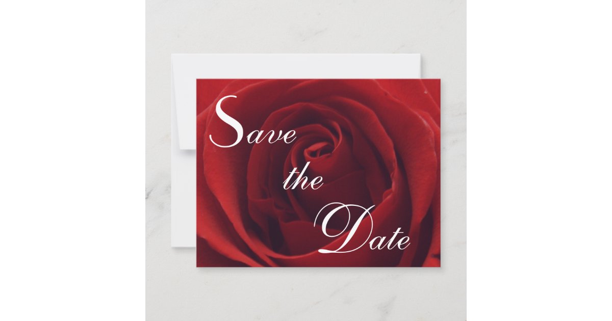 Classic Red Rose Save the Date Wedding Invitation | Zazzle