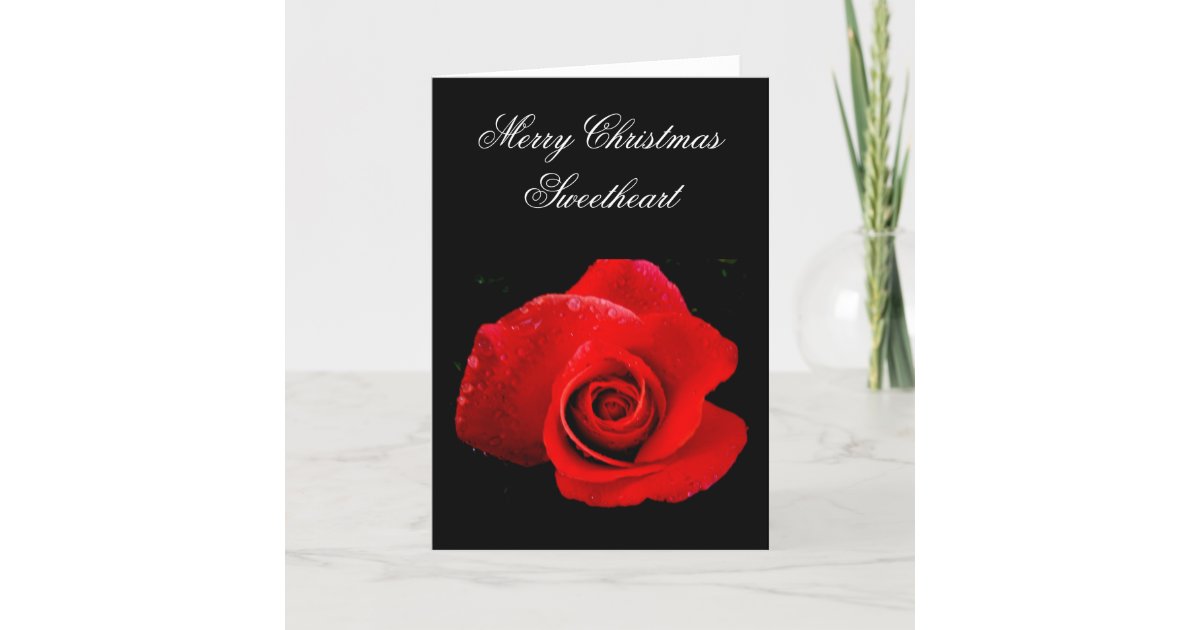 Classic Romantic red Rose Christmas Card | Zazzle