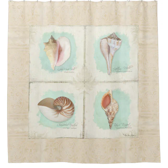 Classic Sea Shells Beach Ocean Shore Coastal Decor Shower Curtain | Zazzle