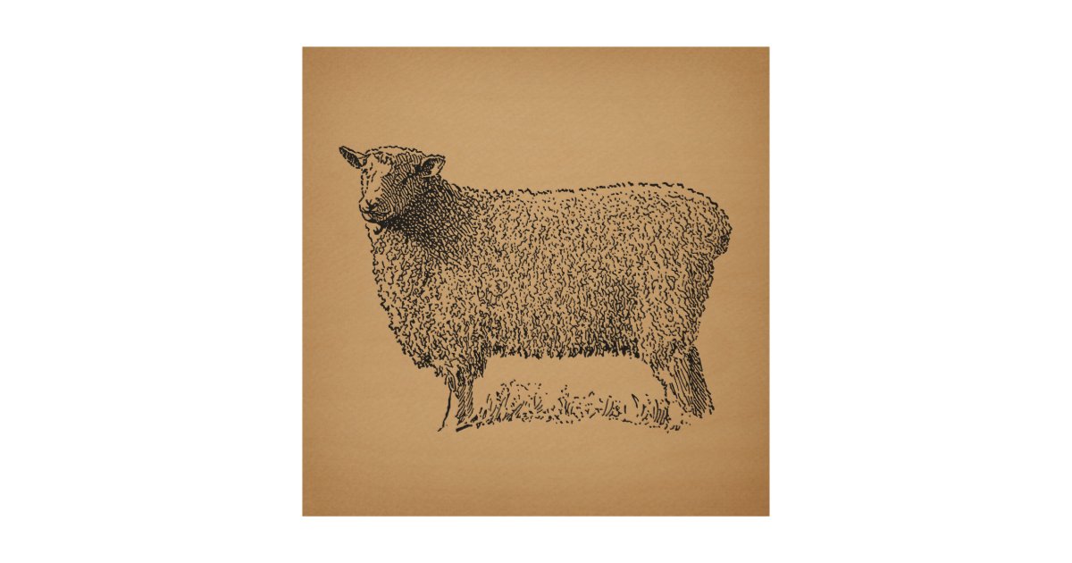 Classic Sheep Art Illustration Antique Farm Animal | Zazzle