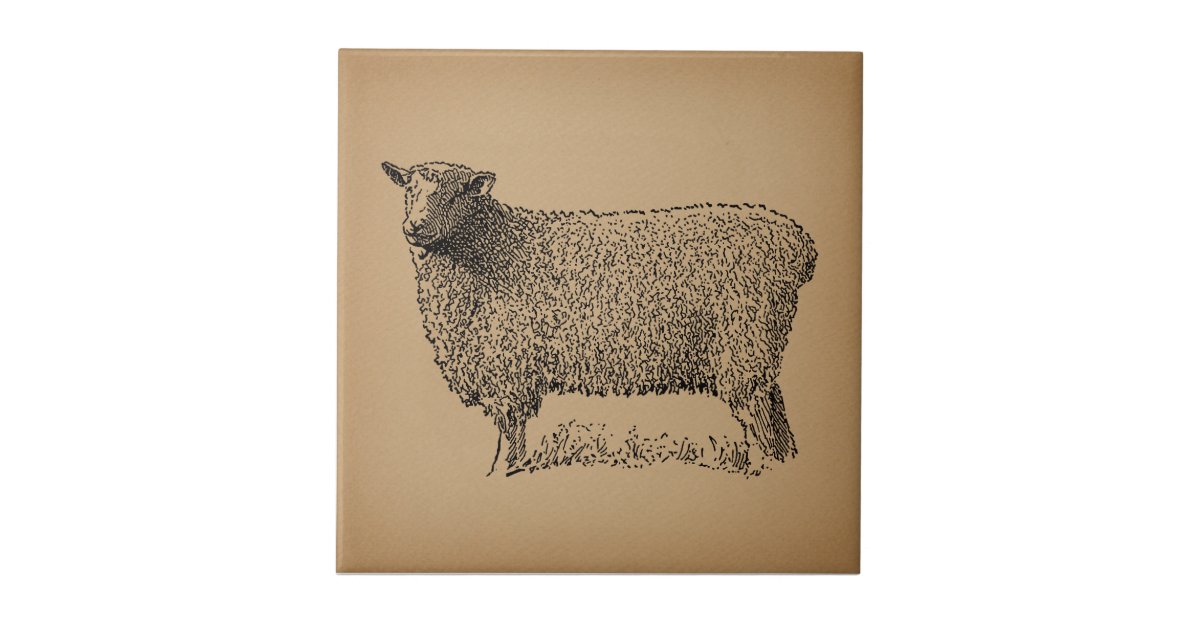 Classic Sheep Art Illustration Antique Farm Animal Ceramic Tile | Zazzle