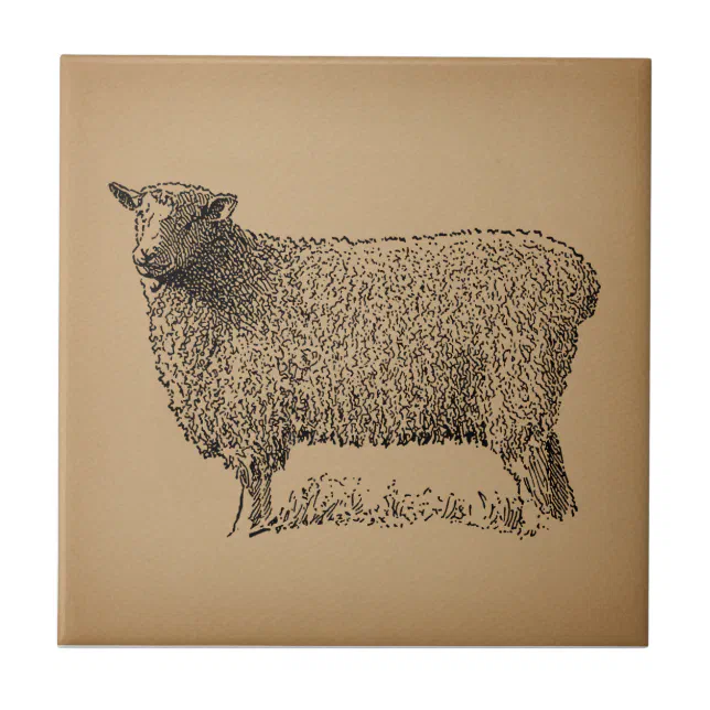 Classic Sheep Art Illustration Antique Farm Animal Ceramic Tile | Zazzle