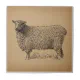 Classic Sheep Art Illustration Antique Farm Animal Ceramic Tile | Zazzle