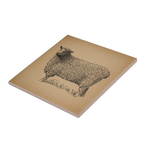 Classic Sheep Art Illustration Antique Farm Animal Ceramic Tile | Zazzle