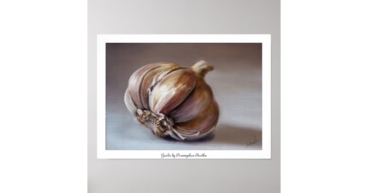 Classic still life garlic poster | Zazzle