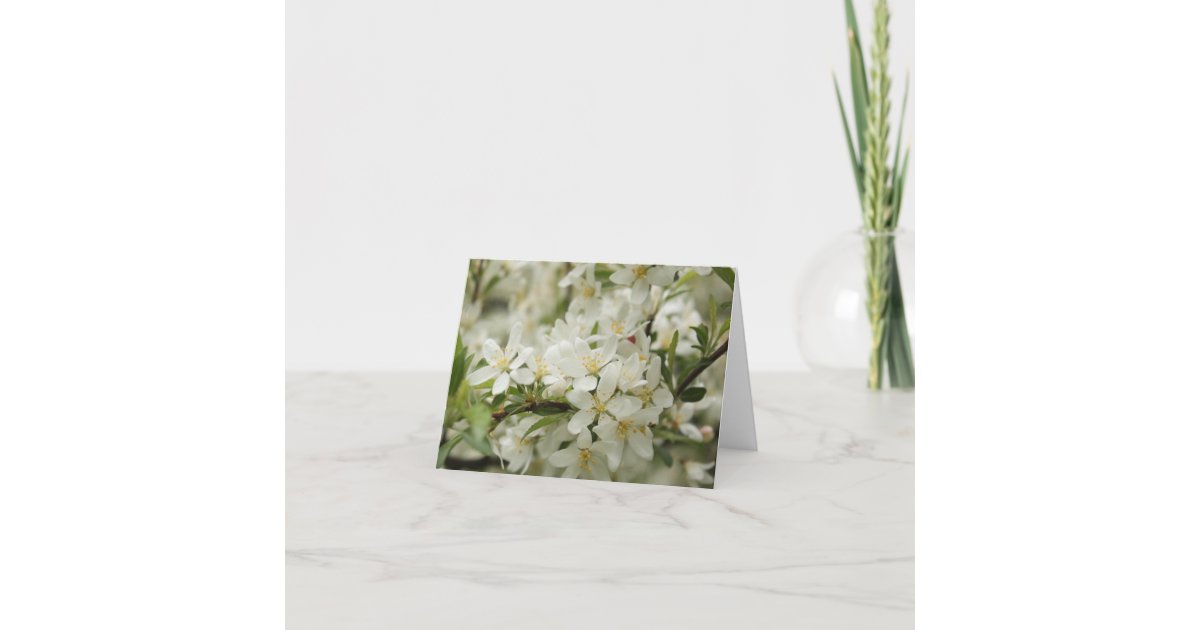 Classic White Floral Note Card | Zazzle
