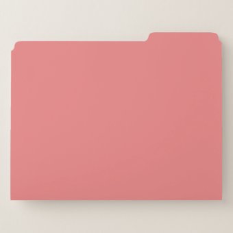 Classy Modern Minimalist Coral & White File Folder | Zazzle