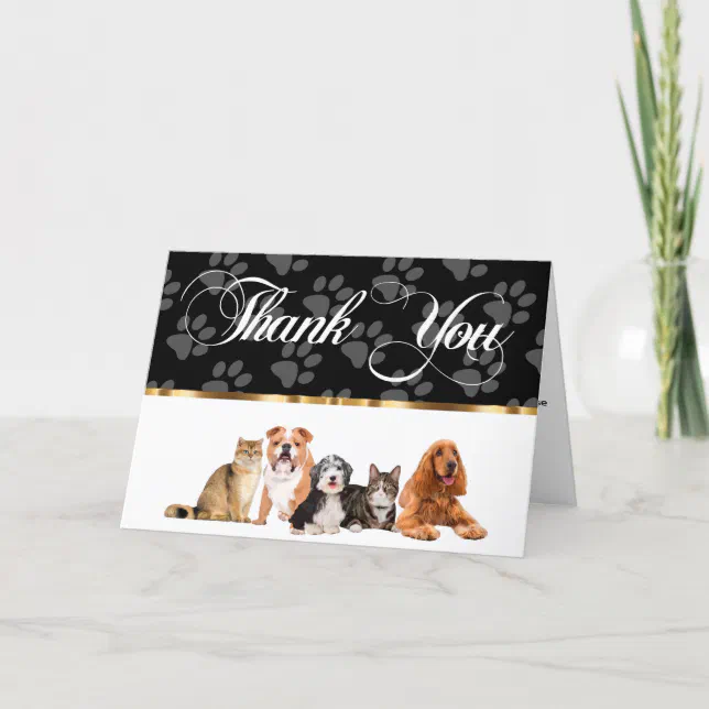 Classy Pet Rescue or Association Thank You Cards | Zazzle