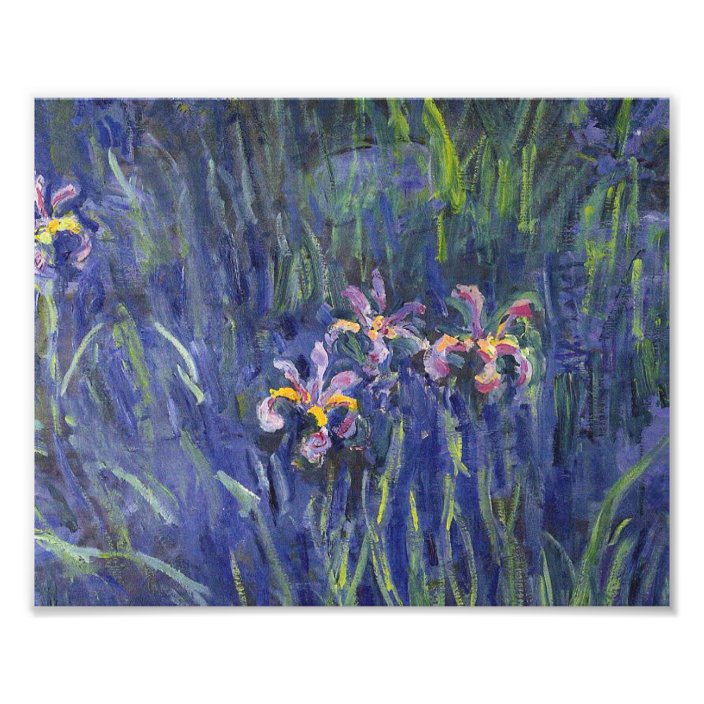 Claude Monet - Irises Photo Print | Zazzle.com