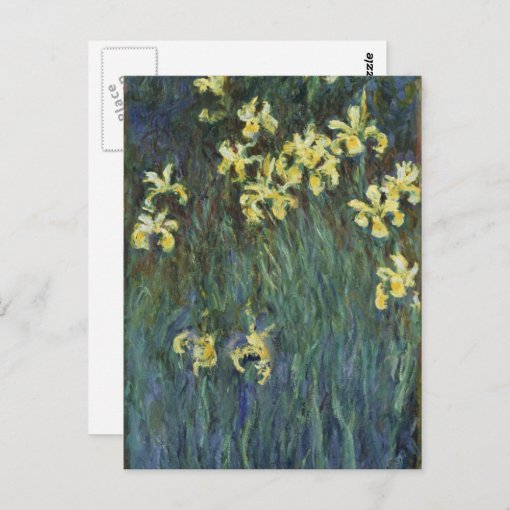 Claude Monet - Yellow Irises Postcard | Zazzle