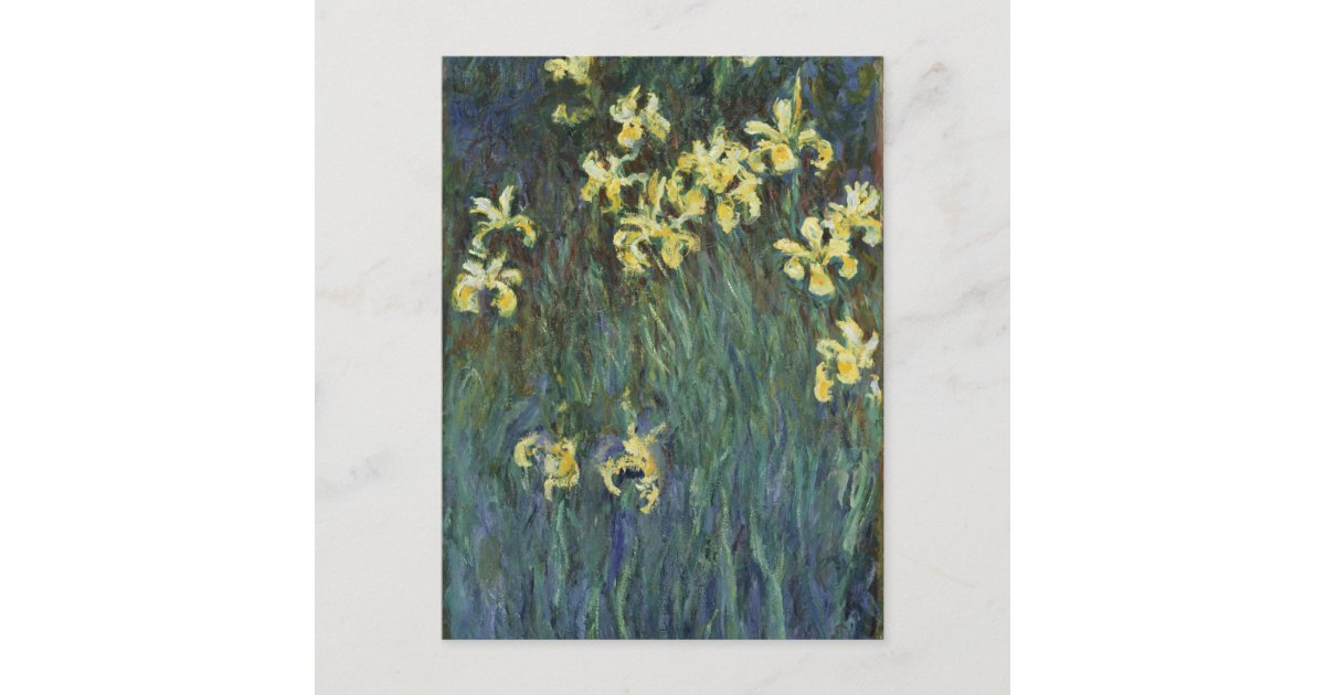 Claude Monet - Yellow Irises Postcard | Zazzle