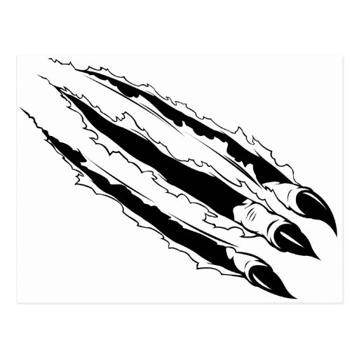 Claws Ripping Paper Postcard | Zazzle