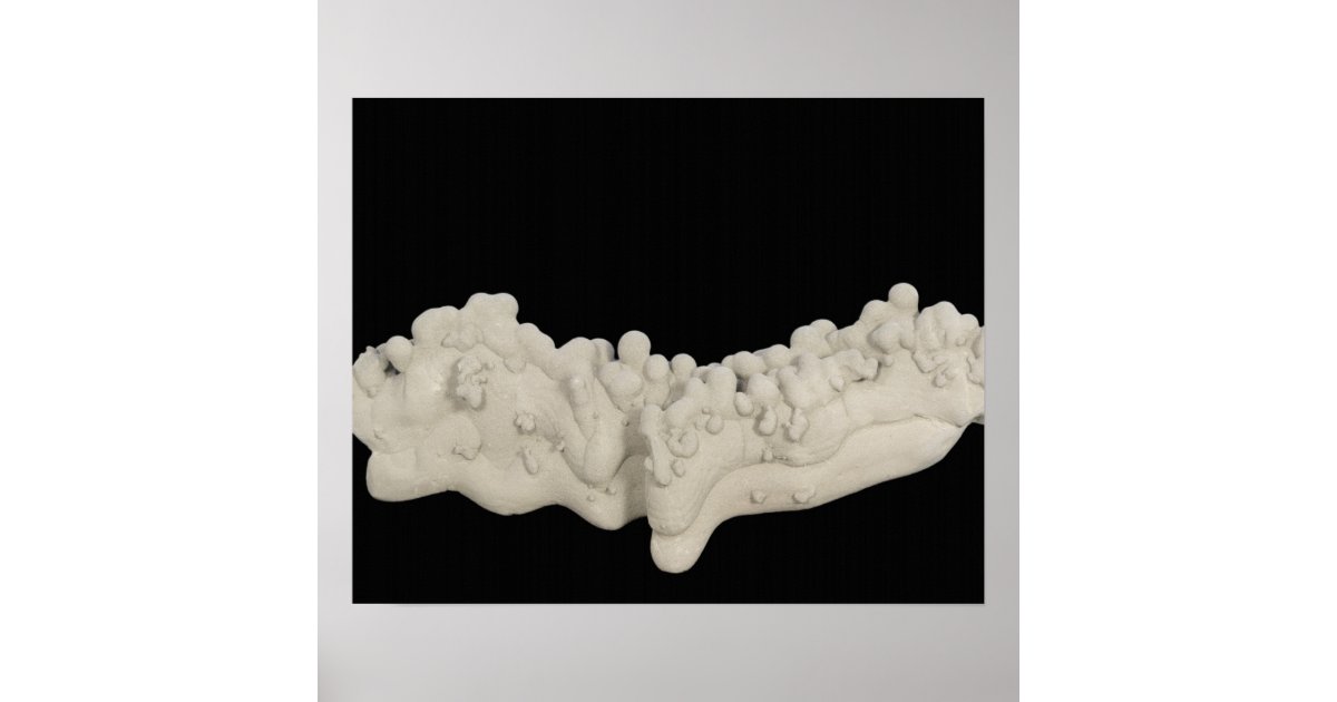 Clay Concretion Poster | Zazzle