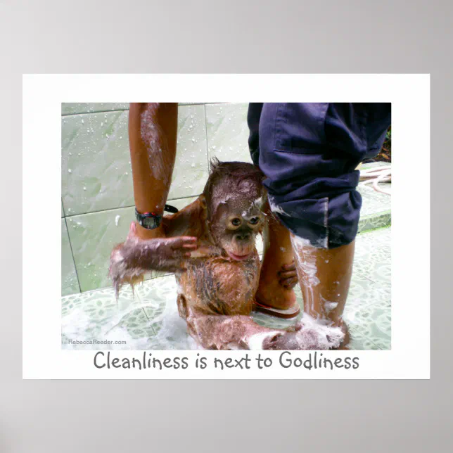 Cleanliness is Next to Godliness Poster | Zazzle