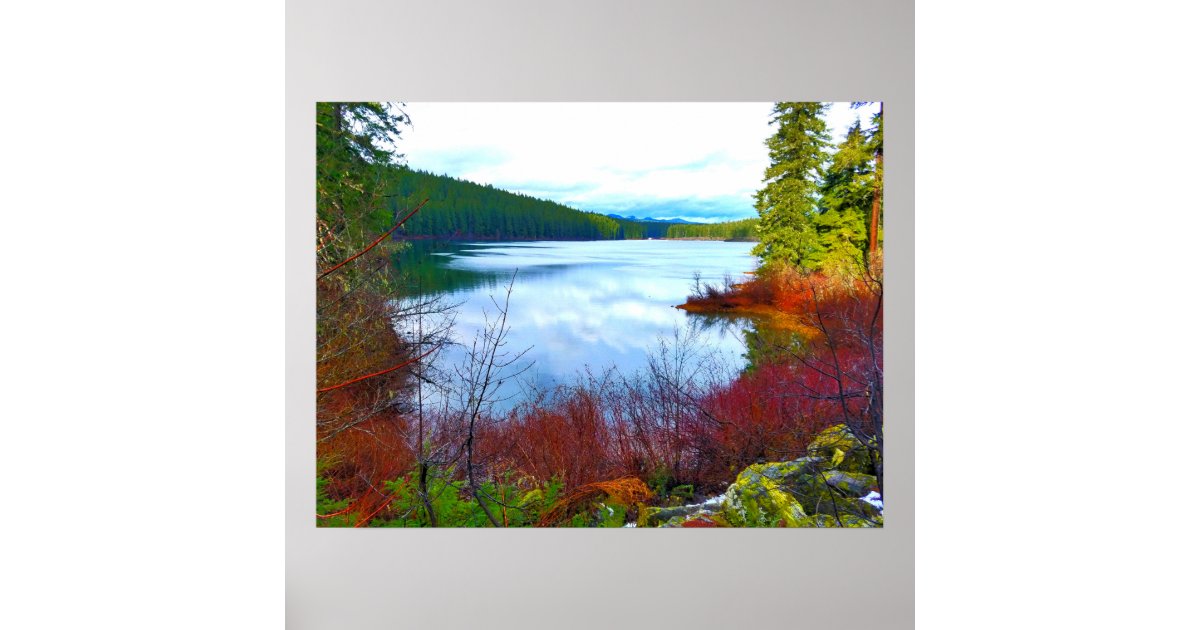 Clear Lake Willamette National Forest Oregon Poster | Zazzle