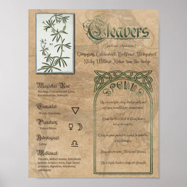 Cleavers Herbal Book of Shadows Pagan Wiccan Poster | Zazzle