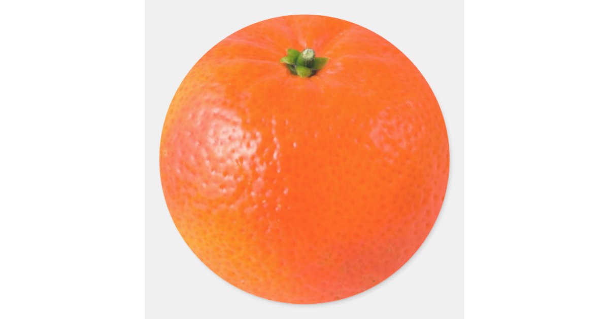 Clementine orange Sticker | Zazzle
