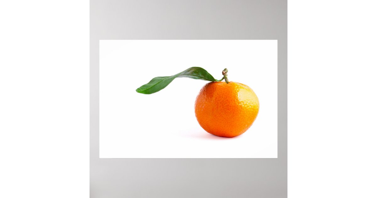 CLEMENTINE POSTER | Zazzle