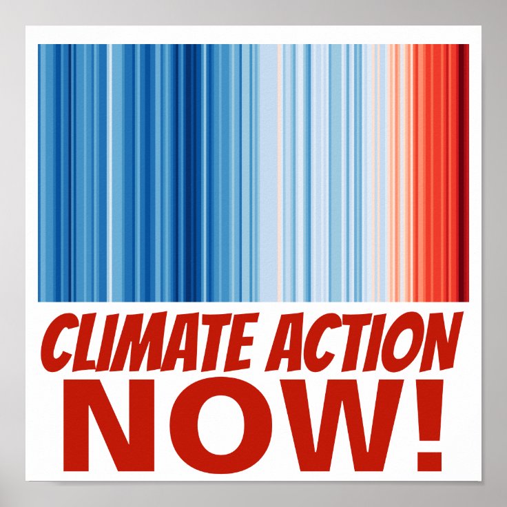 Climate Action NOW! Global Warming Environment Poster | Zazzle