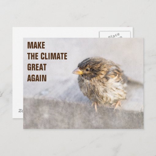 Climate change awareness postcard | Zazzle