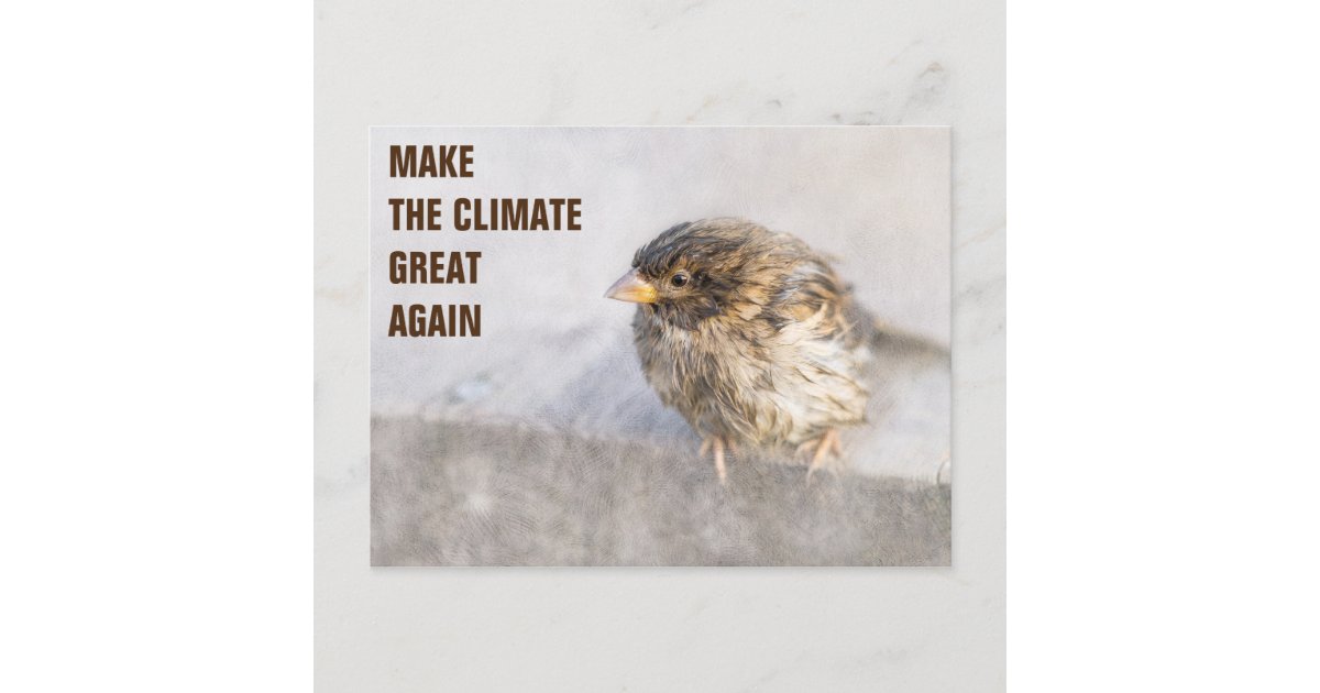 Climate change awareness postcard | Zazzle