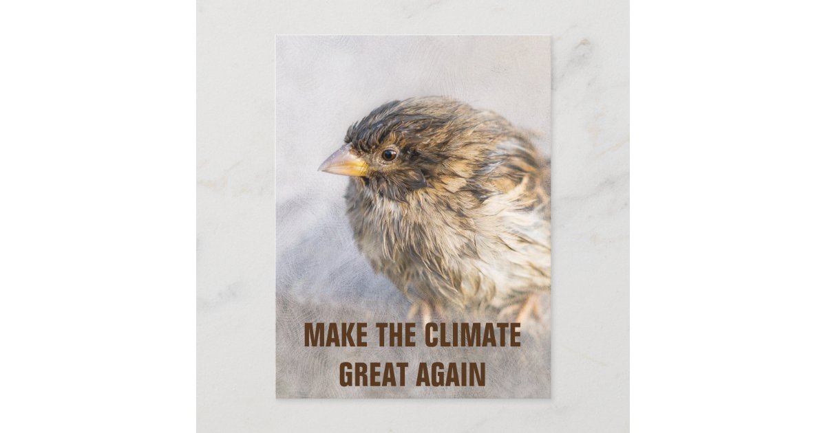 Climate change awareness postcard | Zazzle
