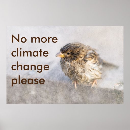 Climate change awareness poster | Zazzle