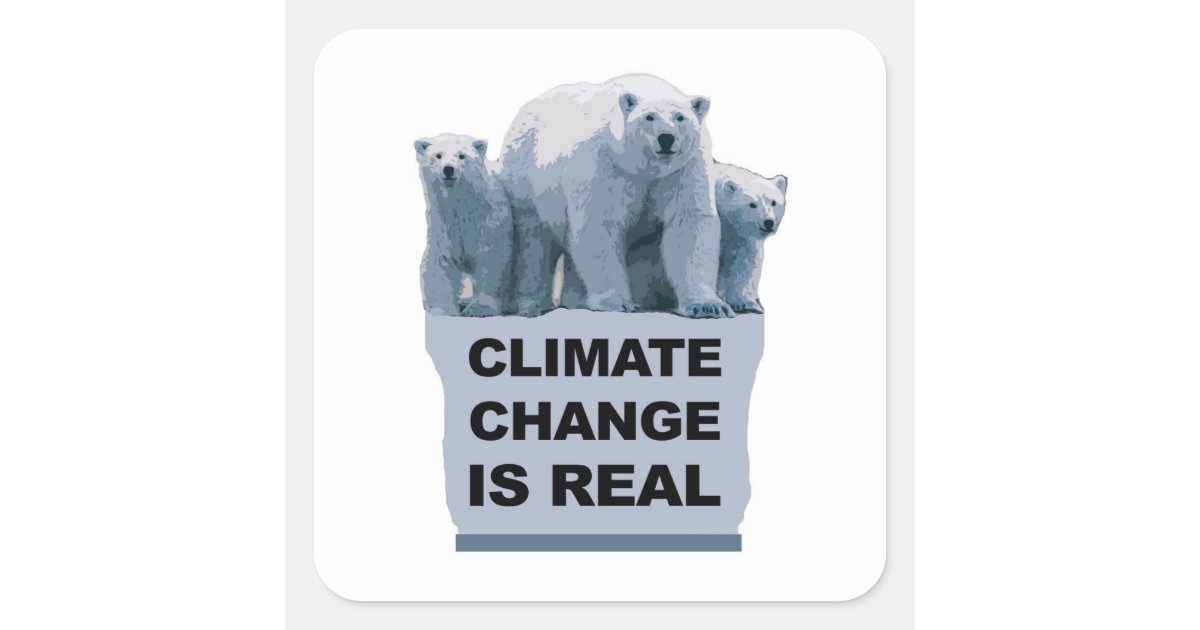 CLIMATE CHANGE IS REAL SQUARE STICKER | Zazzle.com