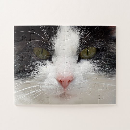 Close Up Cat Face, Easy Jigsaw Puzzle | Zazzle.com