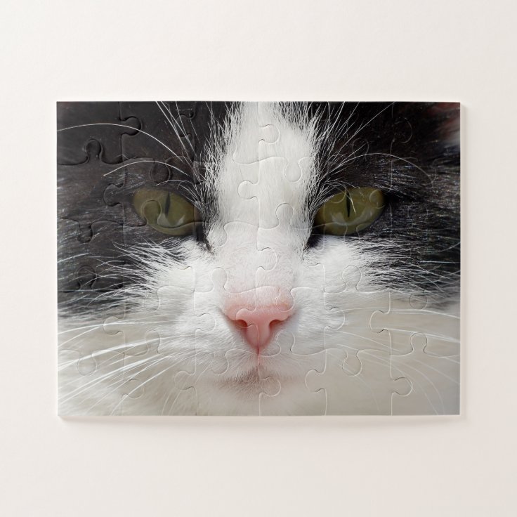 Close Up Cat Face, Easy Jigsaw Puzzle | Zazzle
