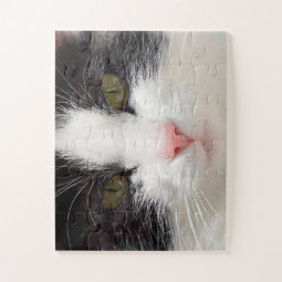 Close Up Cat Face, Easy Jigsaw Puzzle | Zazzle