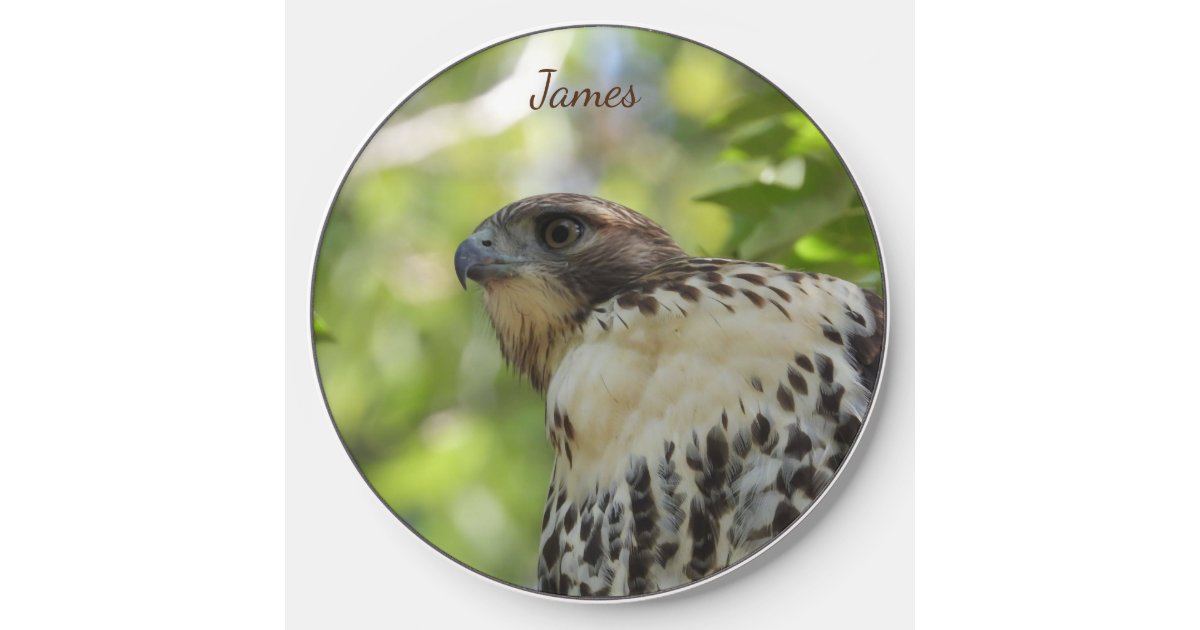 Close Up Head Shot of a Red Tail Hawk Wireless Charger | Zazzle