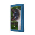 Close up of a Siamese Cat with Blue Eyes Trifold Wallet | Zazzle