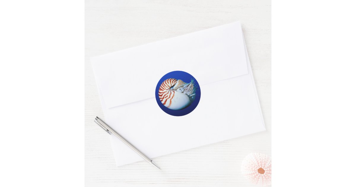 Close-Up Of Chambered Nautilus Classic Round Sticker | Zazzle