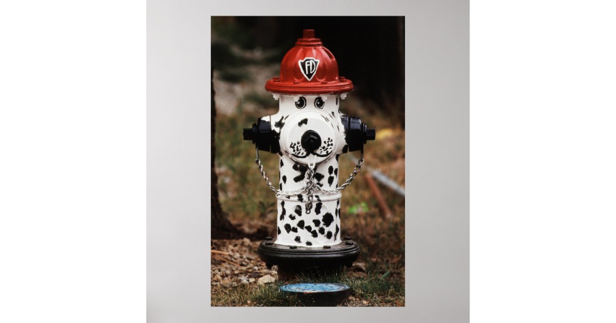 Close-Up of Fire Hydrant Poster | Zazzle