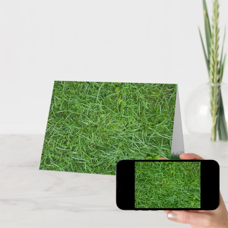 close up of green grass card | Zazzle
