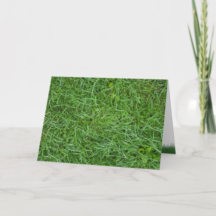 close up of green grass card | Zazzle.com