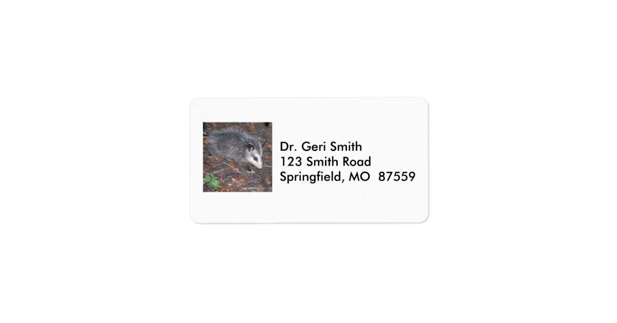 Close Up Of Pretty Possum Label | Zazzle