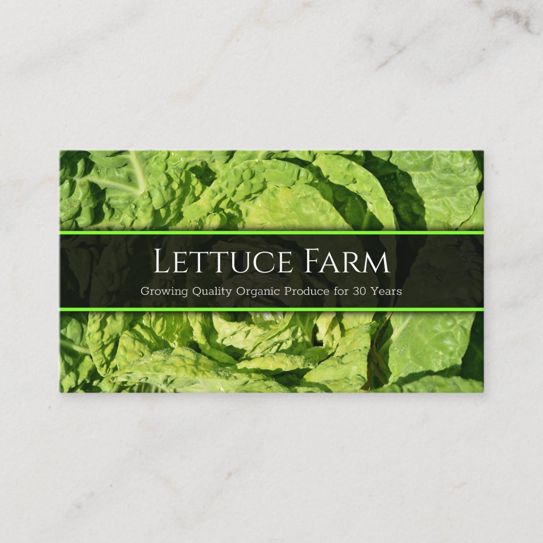 Close up Photo of a Green Lettuce - Business Card | Zazzle
