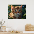 Close Up Tabby Kitty Cat 5:4 Feline Kitten Poster | Zazzle