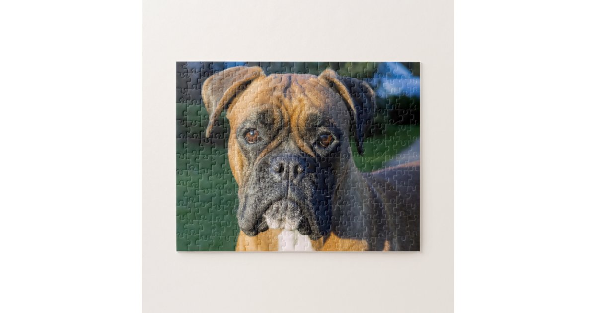 Closer up of a Boxer Dog Jigsaw Puzzle | Zazzle