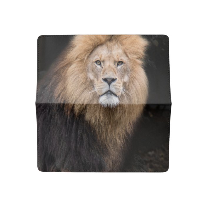 Closeup Portrait of a Male Lion Checkbook Cover | Zazzle.com