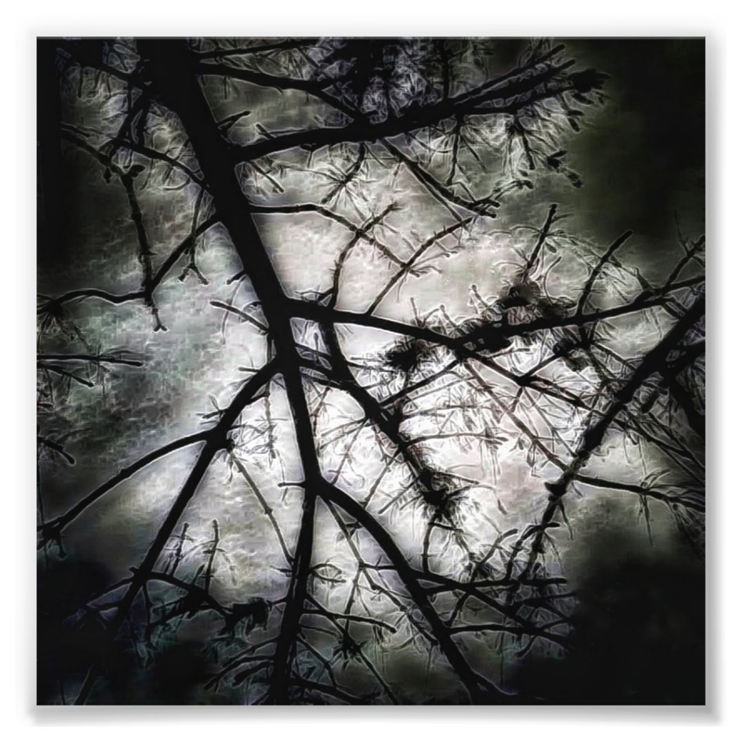 Closing In Photo Print | Zazzle