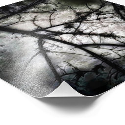 Closing In Photo Print | Zazzle