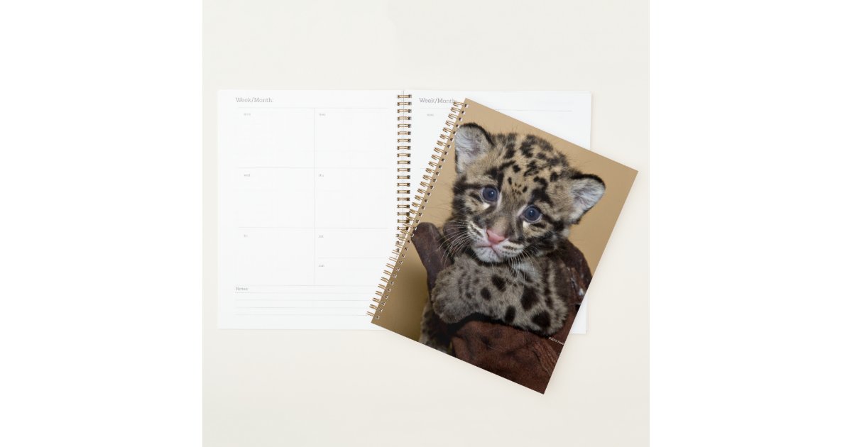 Clouded Leopard Cub Planner | Zazzle