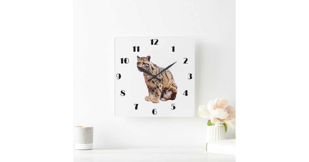 clouded leopard photograph jungle big cat animal square wall clock | Zazzle