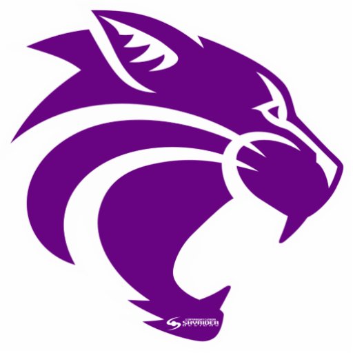 Clovis Wildcats Pin Photo Sculpture Button | Zazzle