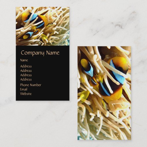 Clown Fish Business Cards | Zazzle
