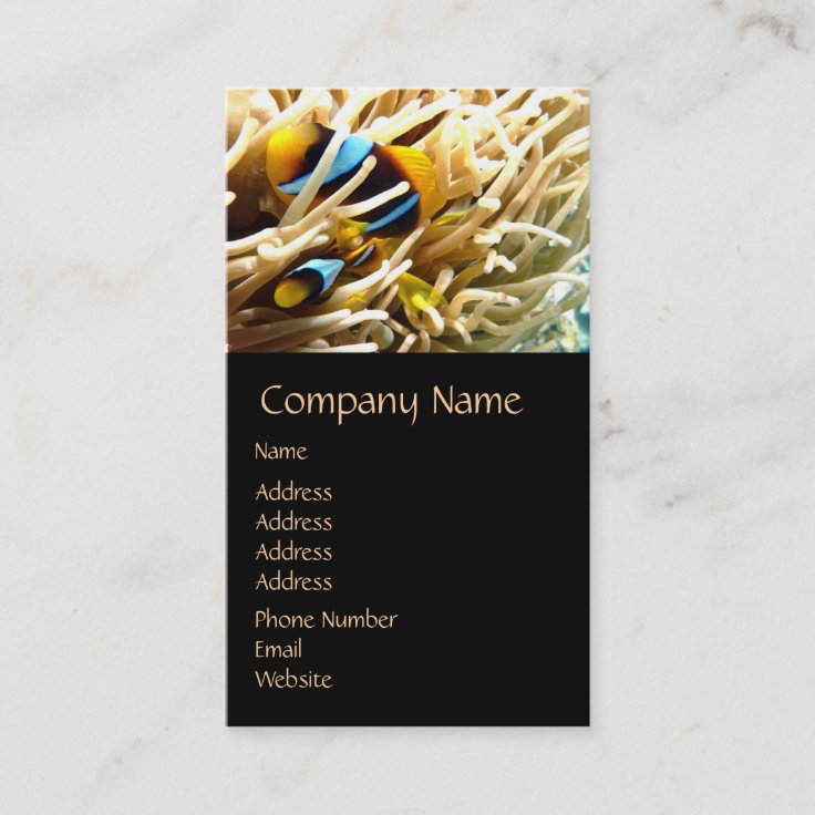 Clown Fish Business Cards | Zazzle